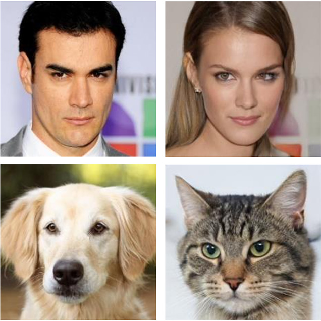 Research | MMLab@NTU